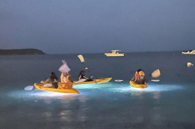 Illuminated Night Kayaking at the Elysian Resort - Practical Details and Considerations