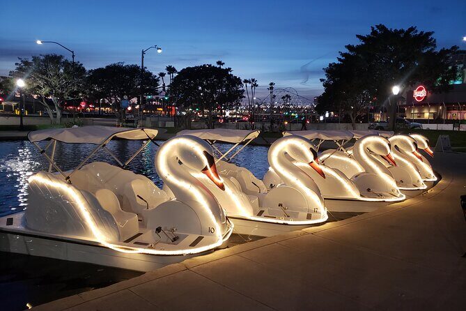 Illuminated Swan Boat Night Ride on Rainbow Lagoon in Long Beach - What to Expect from the Rainbow Lagoon Night Ride