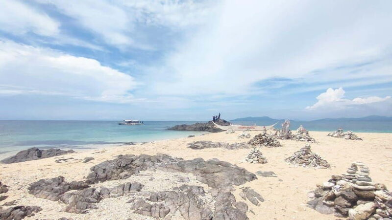 Iloilo City: Gigantes Islands Private Island Hopping Tour - Who Should Consider This Tour?