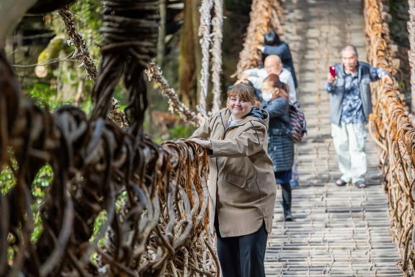 Imabari: Iya Valley, Oboke Gorge & Udon Noodle Cooking Class - The Sum Up