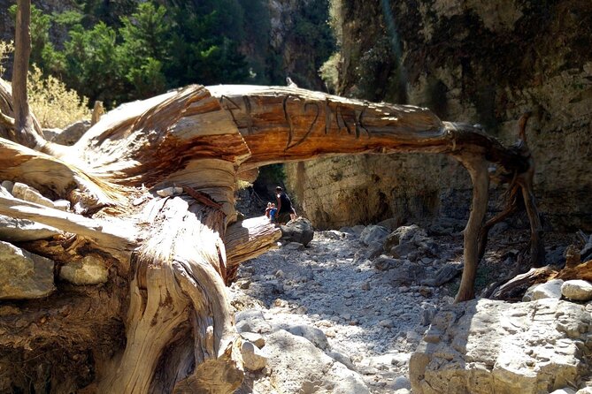Imbros Gorge Adventure Day Trip from Chania - FAQ