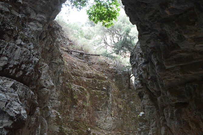 Imbros Gorge & Frangokastelo Beach - In Summary: Who Will Love This Tour?