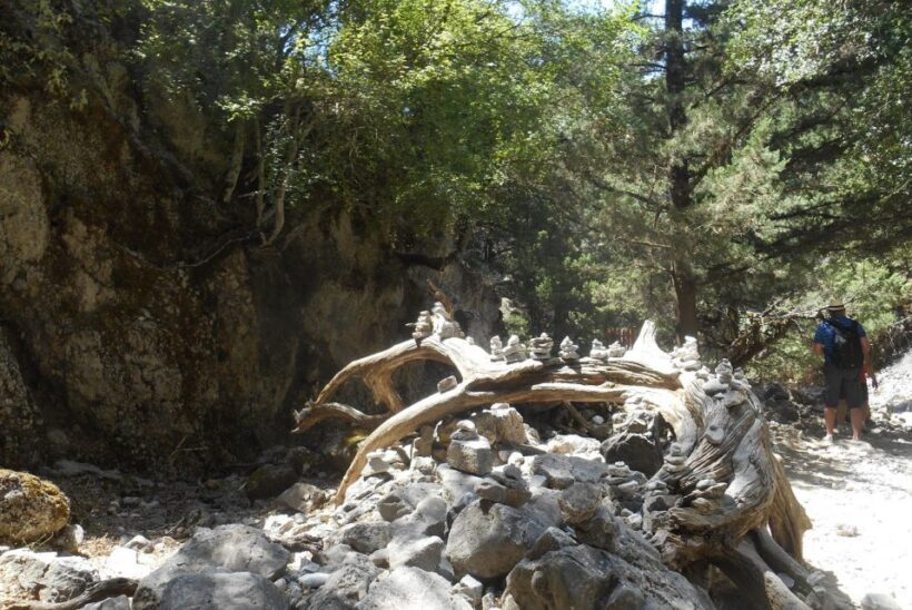 Imbros Gorge Hike From Rethymno - Practical considerations for travelers