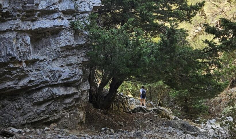 Imbros Gorge: Walk the Trail, Live the Story Private Tour - Experience the Best of Crete’s Imbros Gorge in Comfort and Style