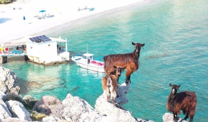 Imbros Gorge: Walk the Trail, Live the Story Private Tour - Who Should Consider This Tour?