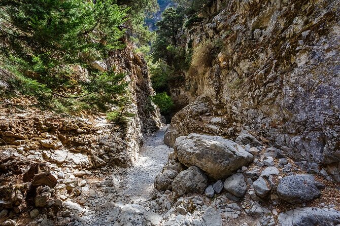 Imbros Gorge - War Museum Askifou - Iligas Beach Private Tour - Pickup and Accessibility
