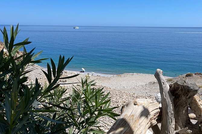 Imbros Gorge - War Museum Askifou - Iligas Beach Private Tour - Booking Information