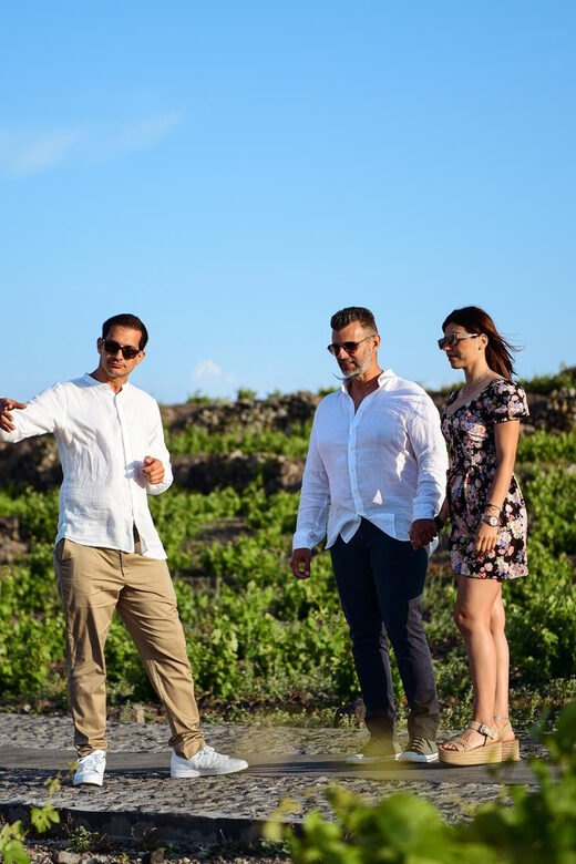 Imerovigli: Premium Wine Tasting with Caldera and Sea Views - Authentic Experiences: What Travelers Are Saying
