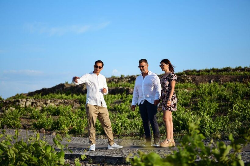 Imerovigli: Premium Wine Tasting with Caldera and Sea Views - Who Will Love This Tour?