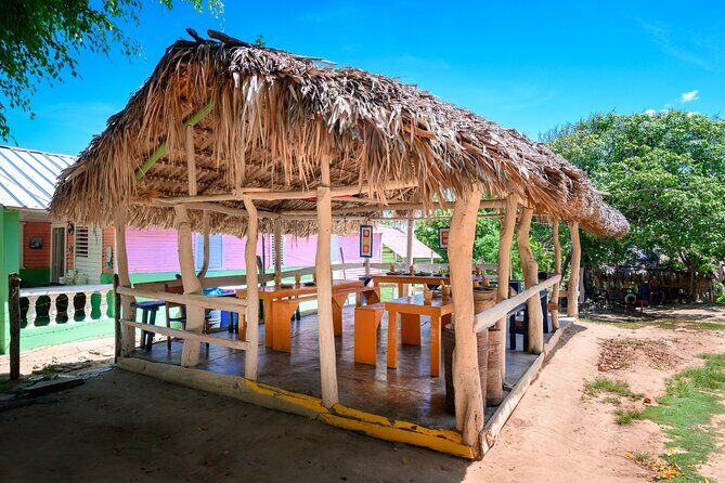 Immerse in Dominican Culture: Private Community Tour - A Complete Look at the Experience