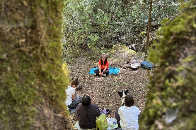 Immerse in the Nature: Deep Connection through Forest Bathing - Who Will Enjoy This Tour?