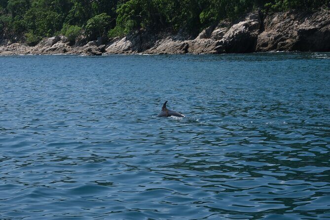 Enjoy paradise: Hidden Beach Snorkeling Adventure - The Food and Beverage Experience
