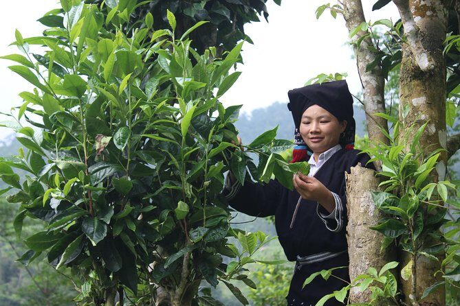 Enjoy the authentic live of Dao Tien people 2D1N - FAQ