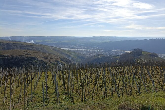 Immersion Domaine E.GUIGAL Visit wine cellars and tasting - Key Points