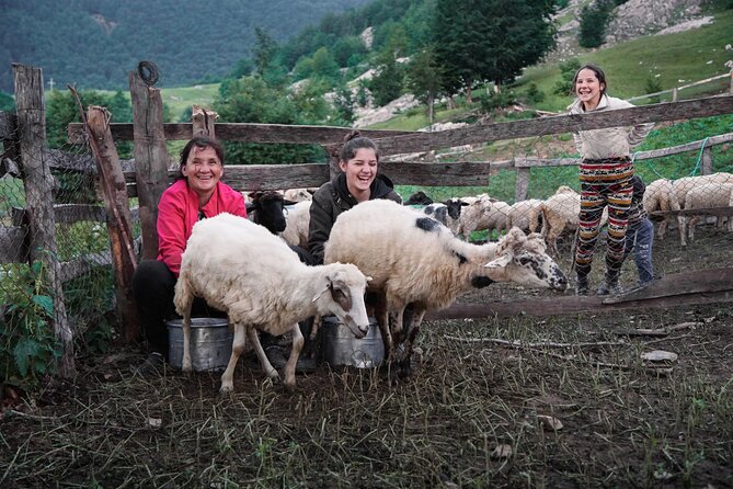 Immersive 2-Day Tour/Homestay with Shepherds in the Albanian Alps - Key Points
