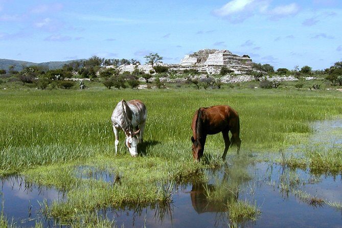 Immersive Cañada de La Virgen Pyramid Tour - The Sum Up: Why Choose This Tour?
