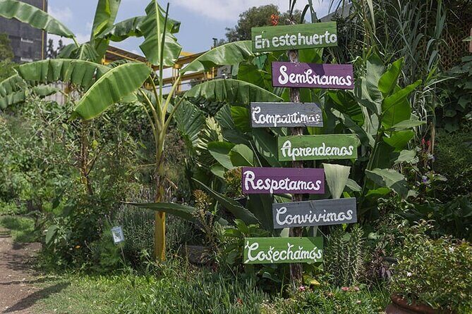 Immersive Cultural Tlatelolco Tour - The Sum Up