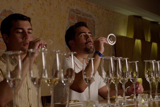 Immersive Experience & Tequila Tasting in Puerto Vallarta - Price and Value