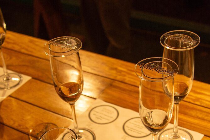 Immersive Experience & Tequila Tasting in Puerto Vallarta - The Sum Up: Is It Worth It?