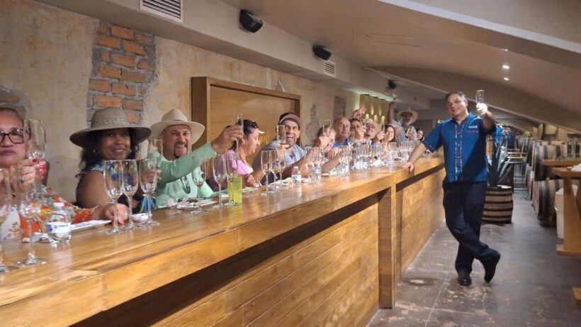 Immersive Experience & Tequila Tasting in Puerto Vallarta - Key Points