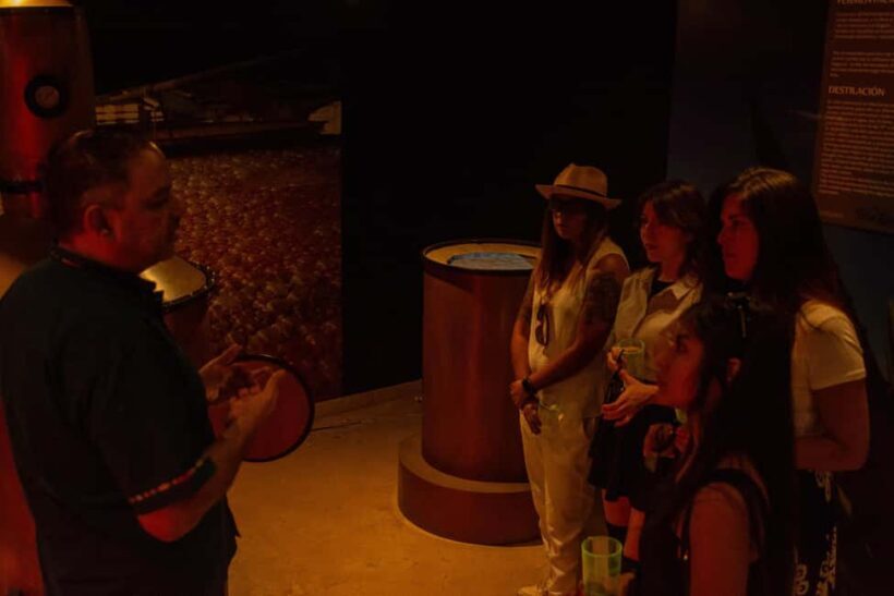 Immersive Experience & Tequila Tasting in Puerto Vallarta - Why This Tour Might Be Perfect for You