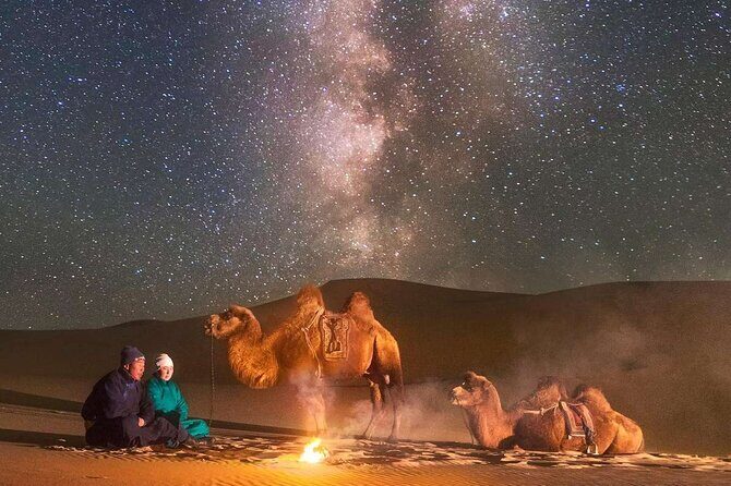 Immersive Mongolian Gobi experience, Camel, Cousine, Stargaze, 2D - Key Points