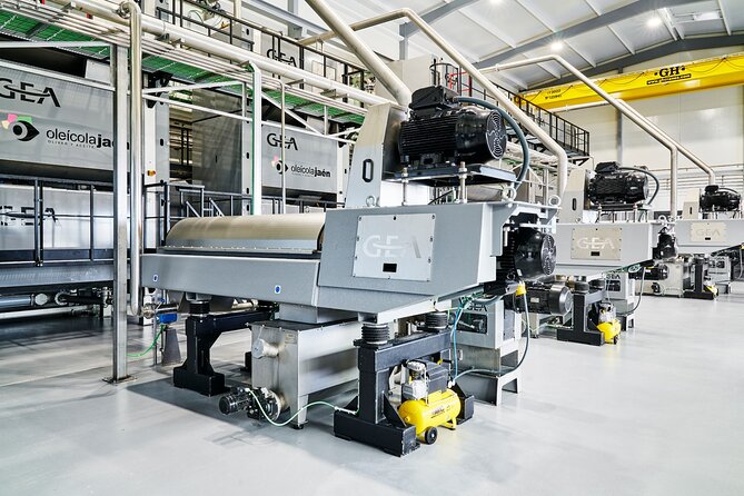 Immersive Oil Tourism in AOVELAND by Oleícola Jaén - Immersive Audiovisual Experience