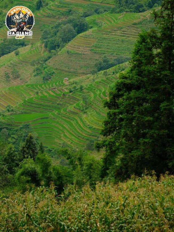 Immersive remote North Vietnam 9 days 8 nights - Practical Details and Value