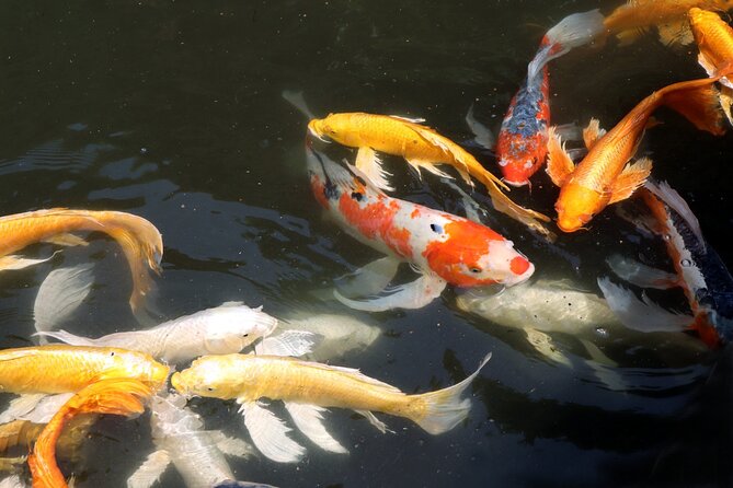 Imperial Palace East Garden and Heritage of Edo Castle Tour - Insights Into Japanese Samurai and Emperor History