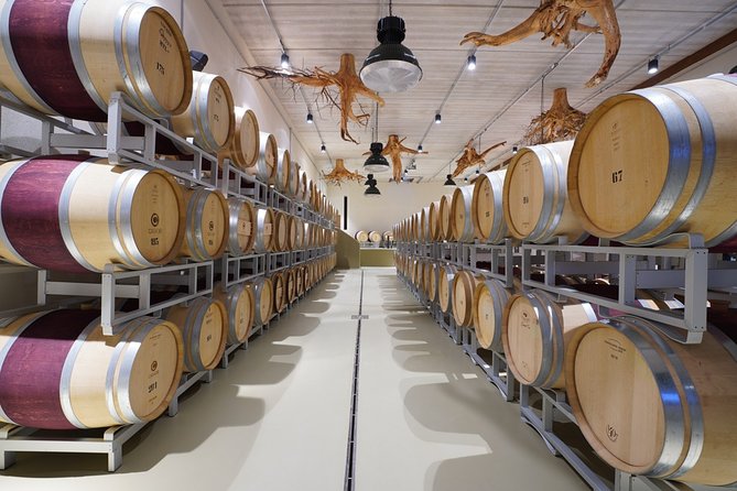 In a Carriage Among the Vineyards, Visit of the Cellar, Tasting of Organic Wines. - The Journeys Accessibility