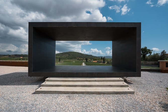 In a Carriage Among the Vineyards, Visit of the Cellar, Tasting of Organic Wines. - Booking Your Experience