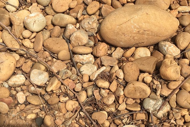 In Depth Chateauneuf-du-Pape - Who Should Consider This Tour?