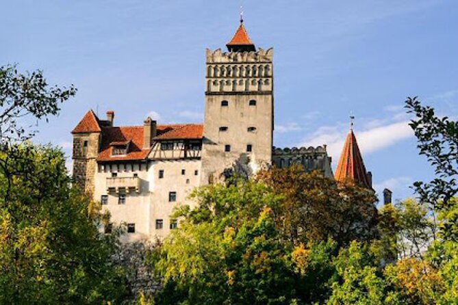 In Search of Dracula and the Teutons in Transylvania Full-Day Private Tour - What Makes This Tour Stand Out?