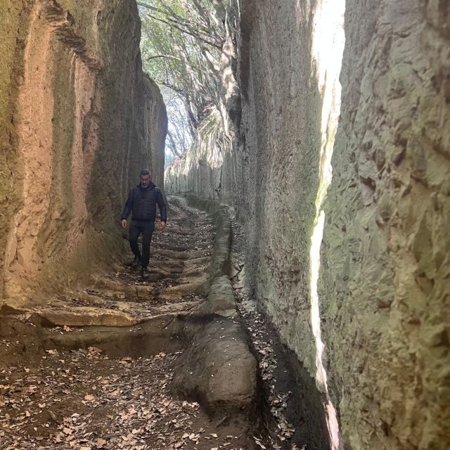 In the Footstep of the Etruscans: Hike & Wine Tasting - Frequently Asked Questions (FAQs)