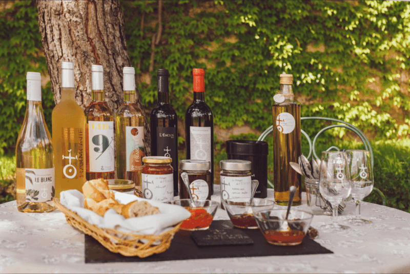 In the skin of a winemaker - Introduction