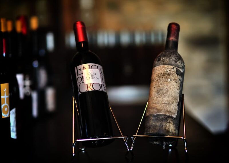 In the skin of a winemaker - Discovering lEnclos de la Croix: A Genuine Organic Winery