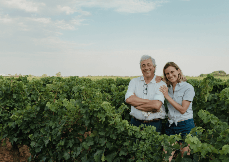 In the skin of a winemaker - The Itinerary in Detail