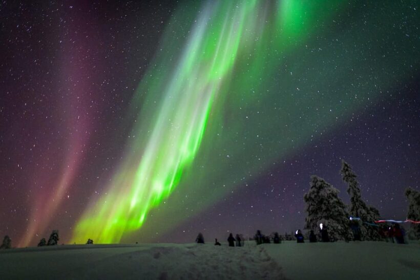 Inari: Northern Lights Hunt Snowmobile Safari - Who Will Love This Tour?