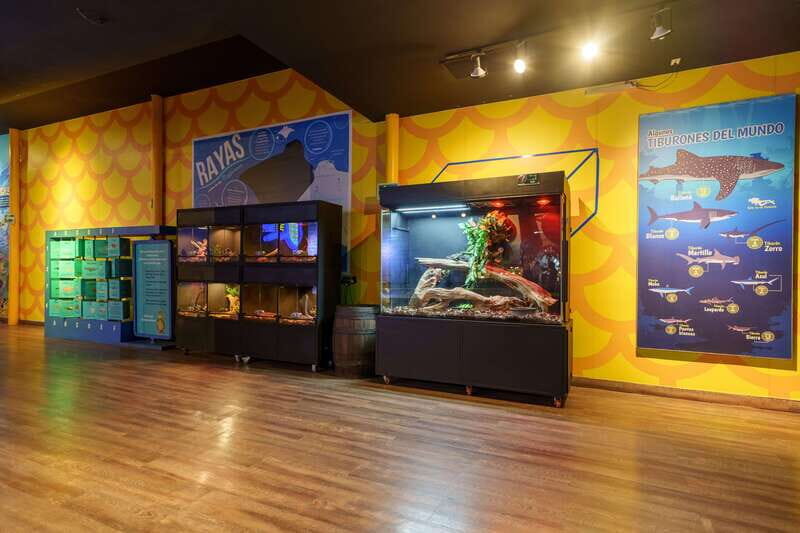 Inbursa Aquarium Entry Ticket with VR Option - Key Points