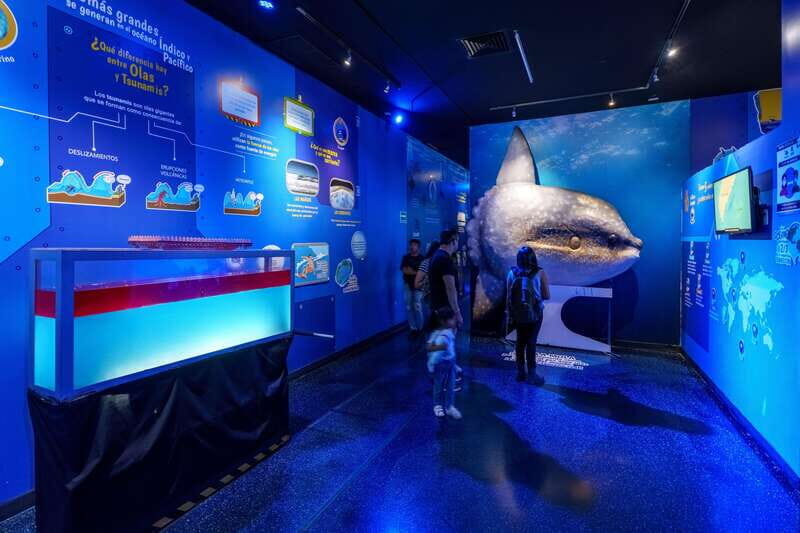 Inbursa Aquarium Entry Ticket with VR Option - Introduction: What You Need to Know