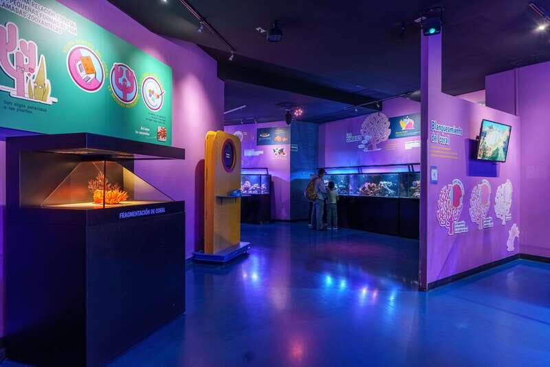 Inbursa Aquarium Entry Ticket with VR Option - Authentic Perspectives from Visitors