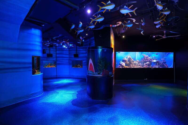Inbursa Aquarium Entry Ticket with VR Option - The Sum Up: Who Should Visit?
