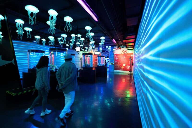 Inbursa Aquarium Entry Ticket with VR Option - FAQs