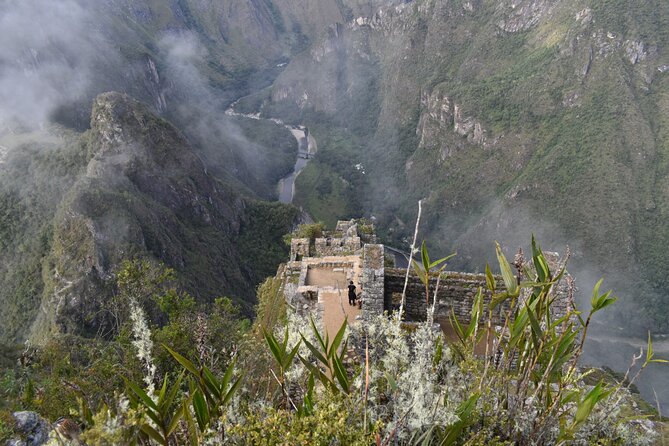 Inca Jungle Trail to Machupicchu by Lorenzo Expeditions - Route and Highlights