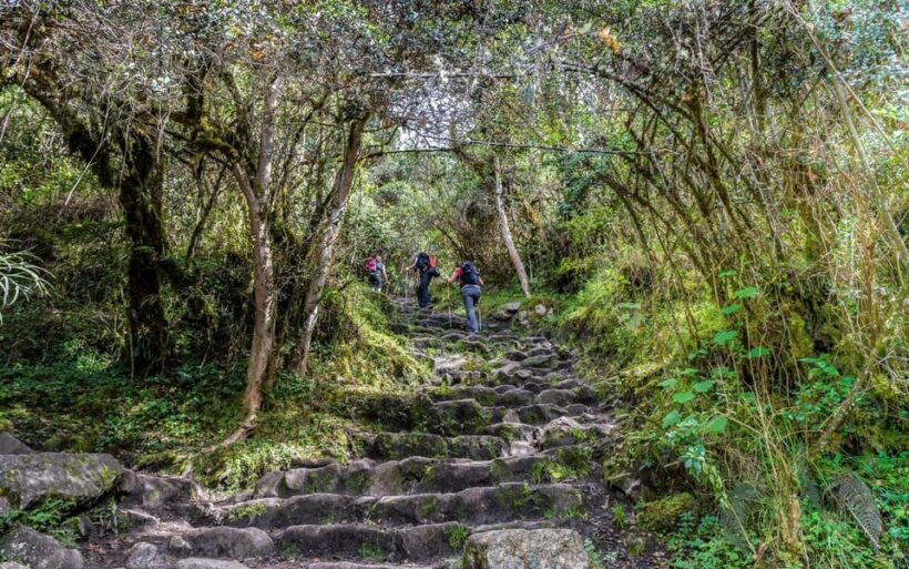Inca Trail to Machu Picchu 4 days - Who Should Consider This Tour?