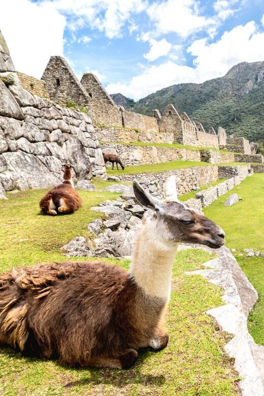 Inca Trail to Machu Picchu 4 days - The Sum Up