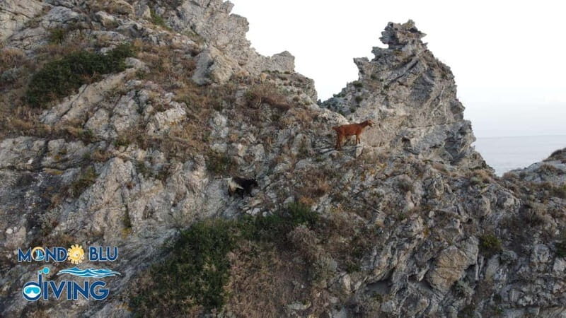 Incantevole Tour al tramonto con sosta a Praia i Focu - Key Points