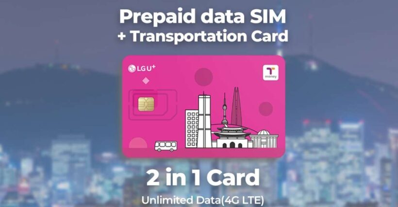 Incheon Airport: Traveler SIM & T-money Transportation Card - What Makes This Tour Stand Out