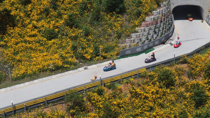Incheon Luge & Railbike & Gaehangjang & Haneul Park - FAQ