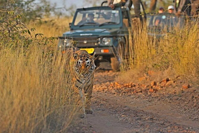 Incredible 5-Day Golden triangle tour from Delhi - FAQs